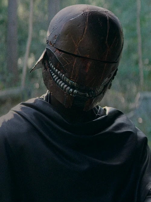 The Stranger | Wookieepedia | Fandom