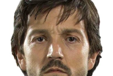 Jeremy Rowley In Modern Family