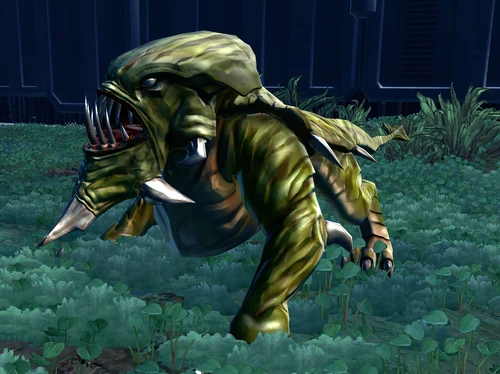 Vine cat | Wookieepedia | Fandom