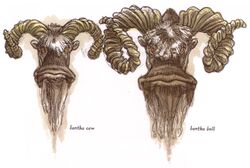 Bantha | Wookieepedia | Fandom