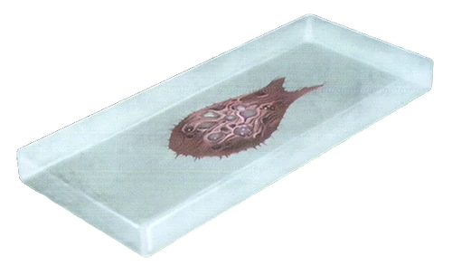 Inhibitor chip | Wookieepedia | Fandom