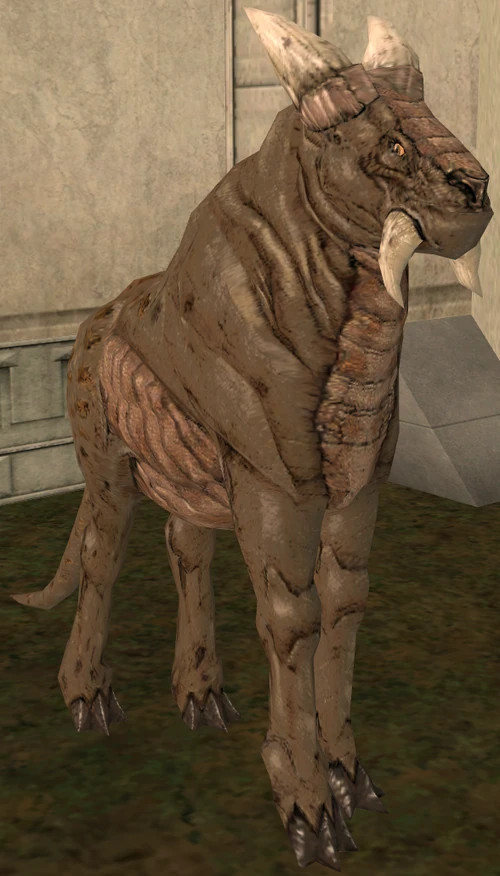 Murra | Wookieepedia | Fandom