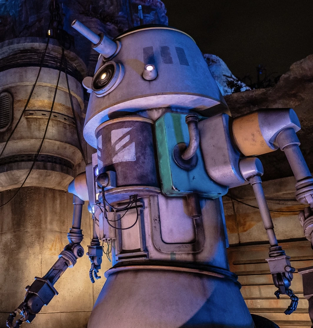 Bard | Wookieepedia | Fandom