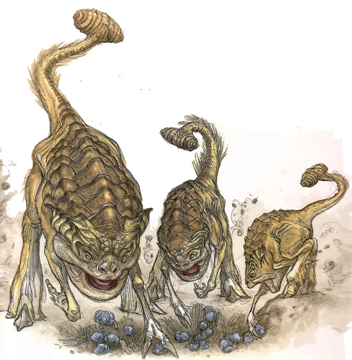 Desert plum | Wookieepedia | Fandom