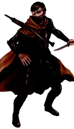 Imperial Assassin | Wookieepedia | Fandom