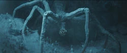 Knobby White Ice Spider | Star Wars Wiki | Fandom