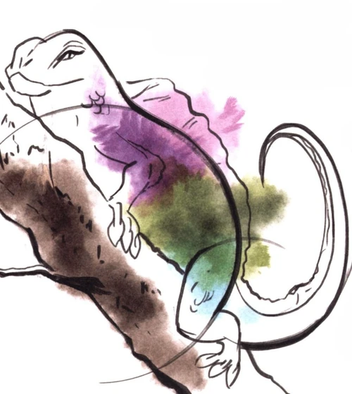 Unidentified D'Qar lizard | Wookieepedia | Fandom