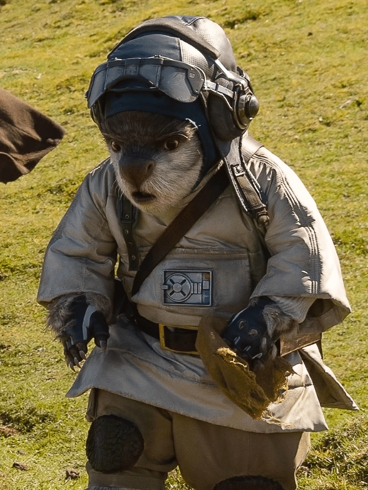 Tynnan | Wookieepedia | Fandom