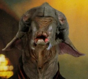 Progetto:Palazzo di Jabba/Khetanna | Jawapedia | Fandom