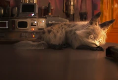 Loth-cat | Wookieepedia | Fandom