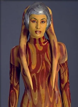 Ayy Vida | Star Wars Wiki | Fandom