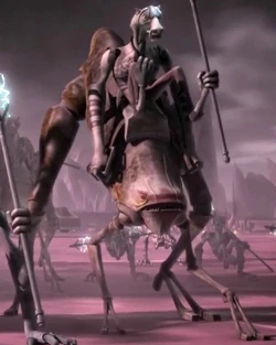 Insectomorph | Star Wars Wiki | Fandom