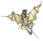 Mynock | Wookieepedia | Fandom