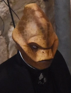 Progetto:Canto Bight | Jawapedia | Fandom