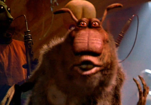 Jedi Rocks | Star Wars Wiki | Fandom