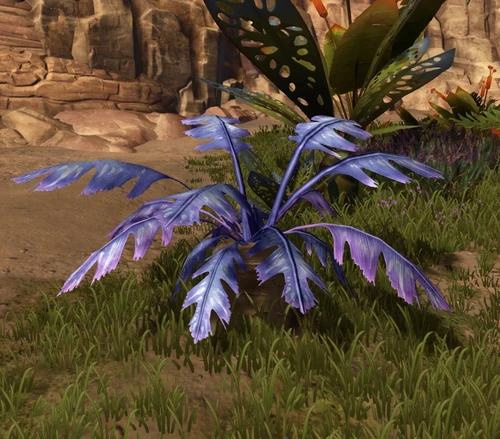 Glimmering Broadleaf | Wookieepedia | Fandom