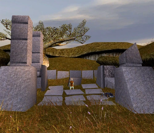 Ancient Grove | Wookieepedia | Fandom