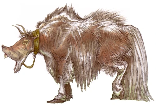 Jerba | Wookieepedia | Fandom