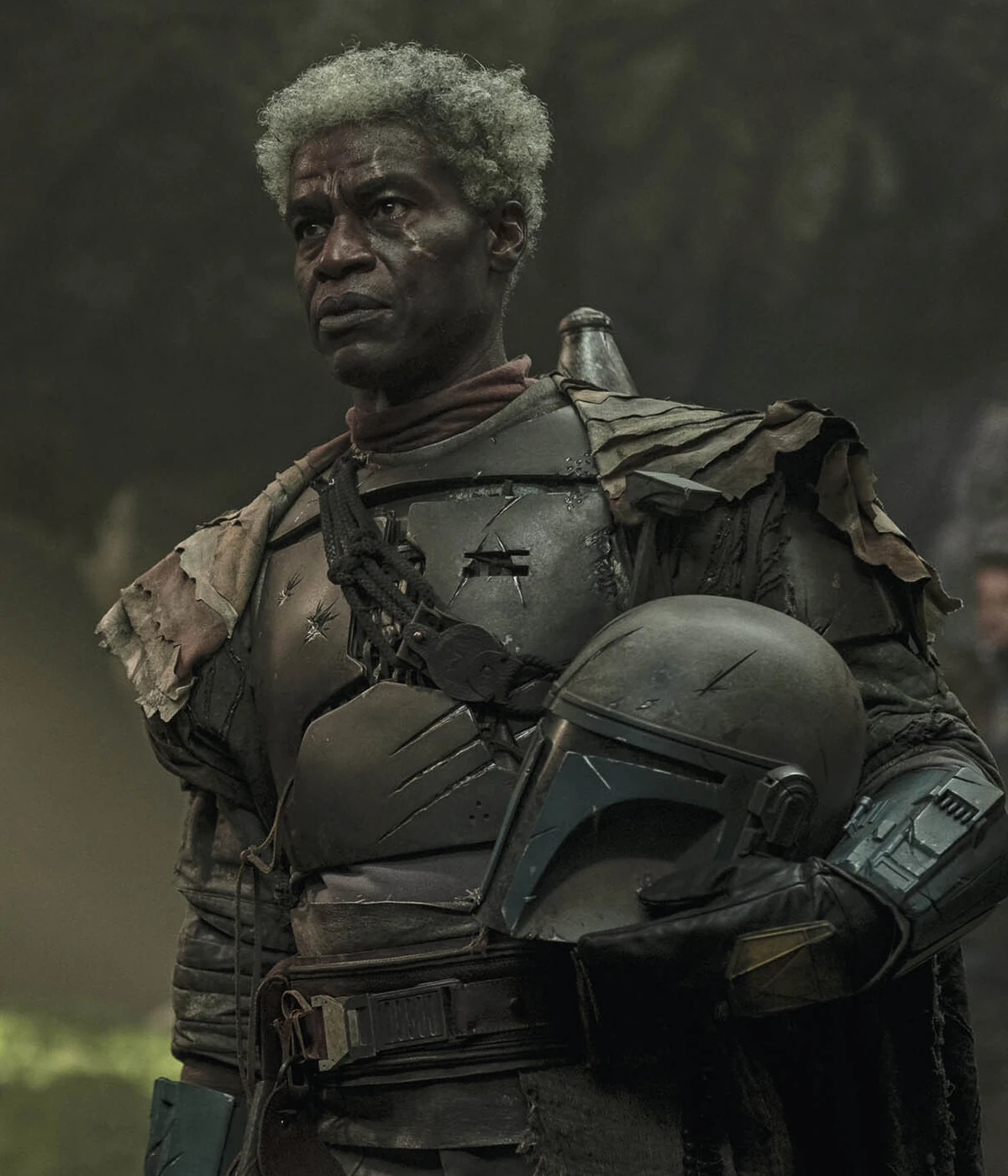 Unidentified Mandalorian captain | Wookieepedia | Fandom