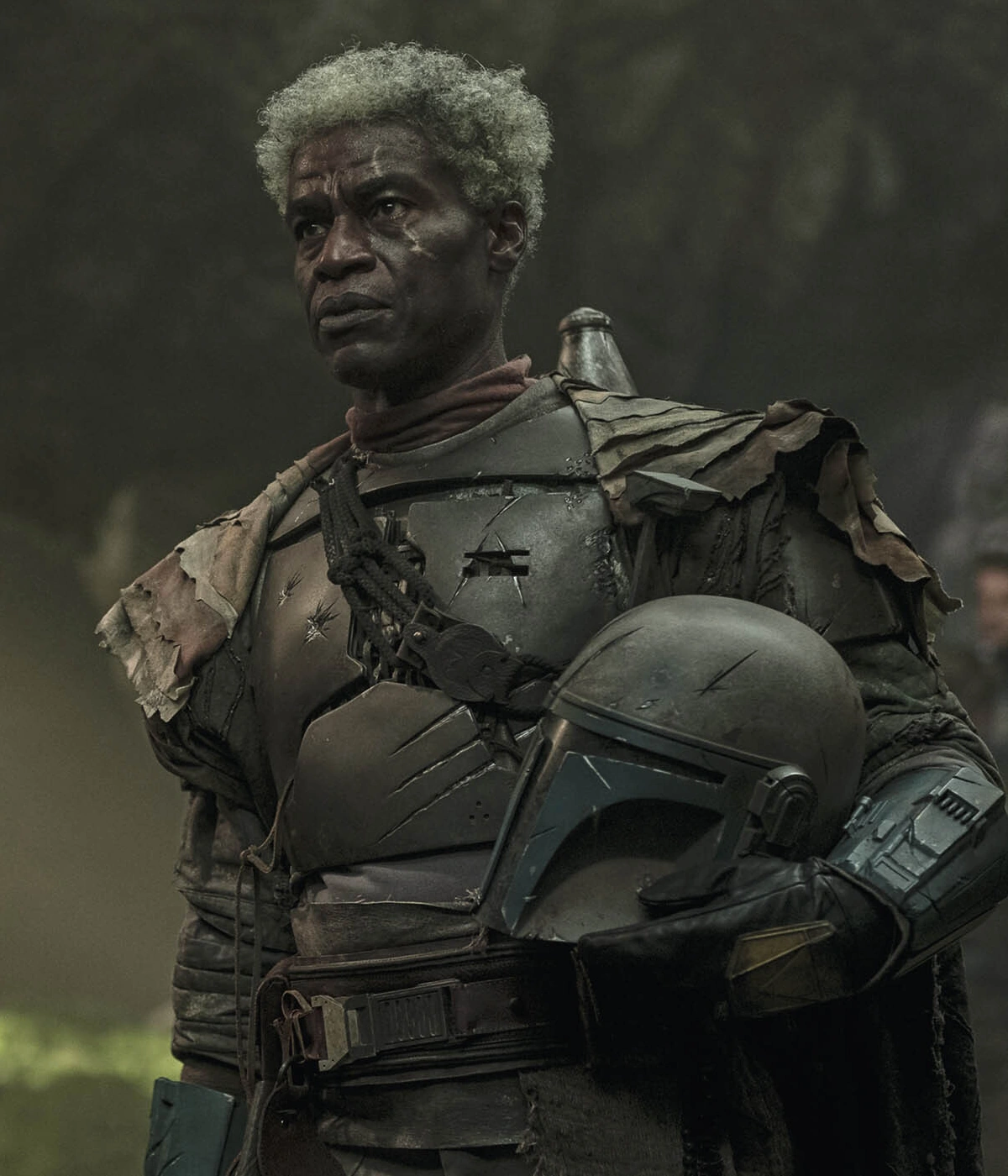 Unidentified Mandalorian captain | Wookieepedia | Fandom