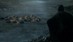 Tusken Raider | Star Wars Wiki | Fandom