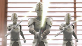 Jedi Temple Guard | Star Wars Animated Wiki | Fandom