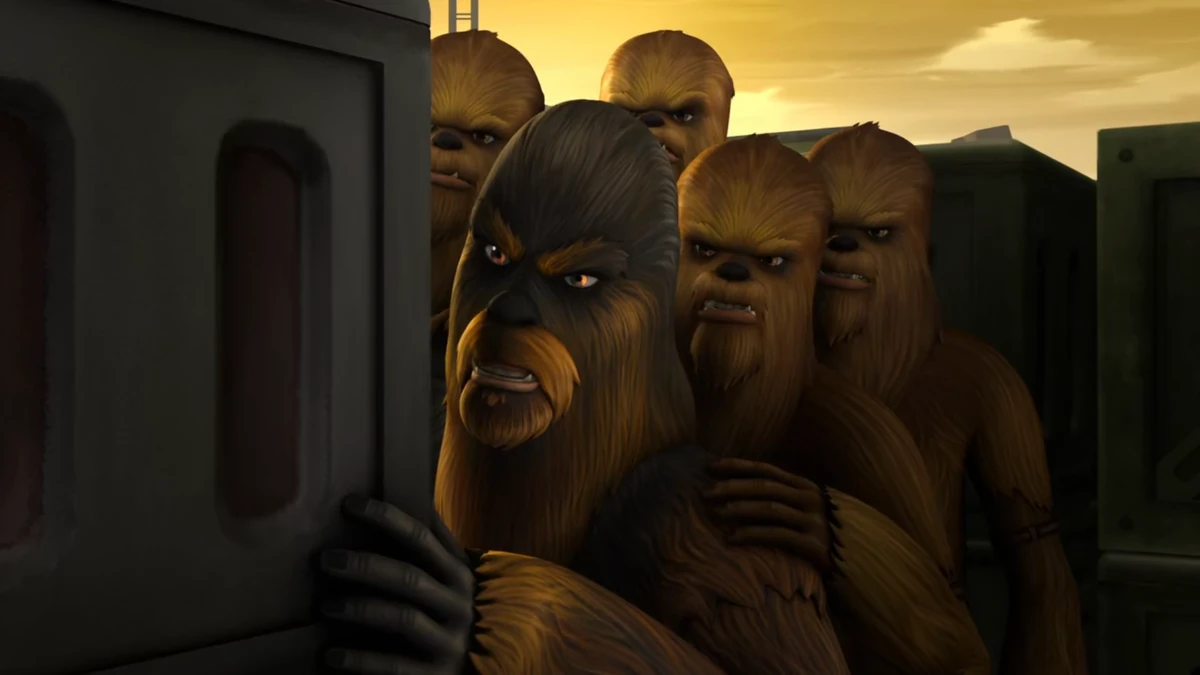 Wookie | Star Wars Animated Wiki | Fandom
