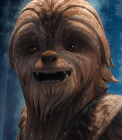 Gungi | Star Wars Animated Wiki | Fandom