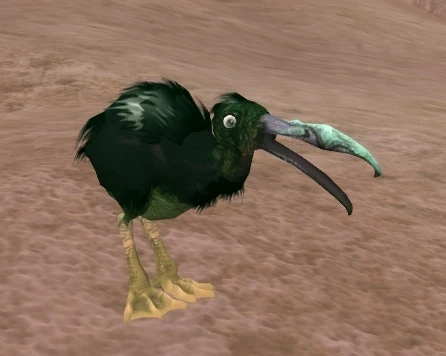Category:Class: Aves | Star Wars Biology Wiki | Fandom
