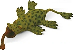 Gorg | Star Wars Biology Wiki | Fandom