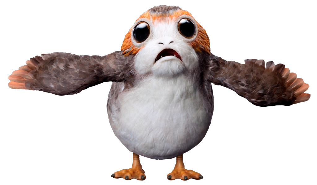 Porgs | Star Wars Wiki | Fandom