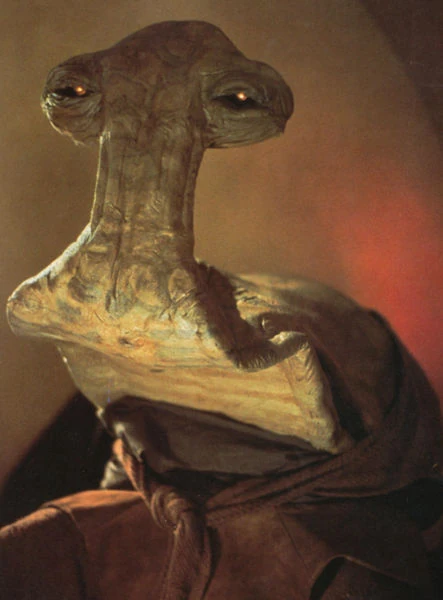 Ithorians | Star wars languages Wiki | Fandom