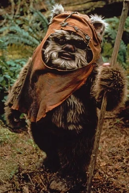 Wicket Wystri Warrick | Star Wars Universe Wiki | Fandom