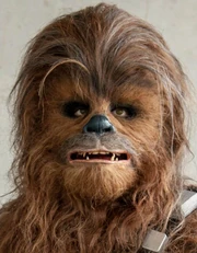 Lowbacca | Star Wars Universe Wiki | Fandom