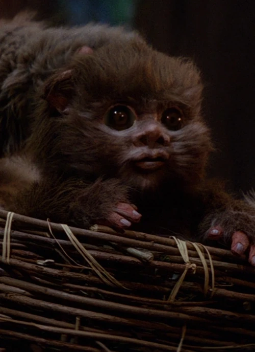 Nippet | Star Wars Universe Wiki | Fandom