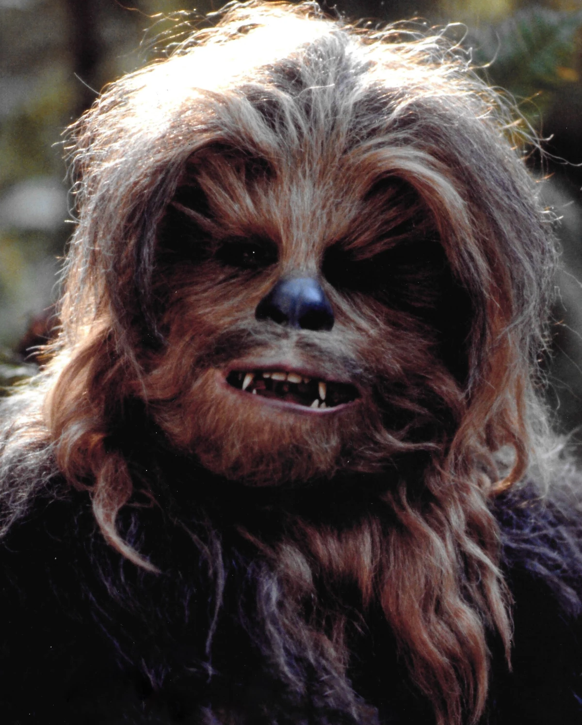 Chewbacca | Star Wars Universe Wiki | Fandom