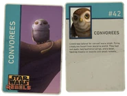 Convor/Gallery | Star Wars Rebels Wiki | Fandom