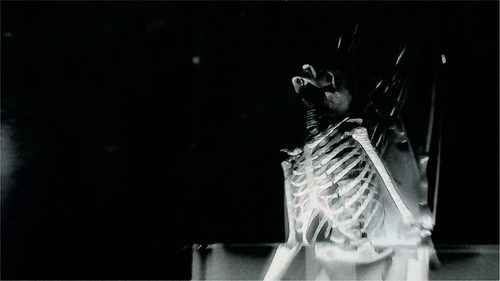 Official Stasis Wiki