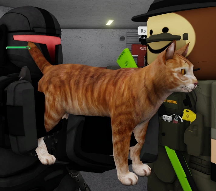 Category:Exclusive | Valley Prison RolePlay Wiki | Fandom