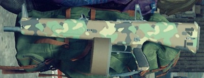 AA-12 | State of Decay 2 Wiki | Fandom