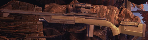 CLEO Blast Rifle | State of Decay 2 Wiki | Fandom