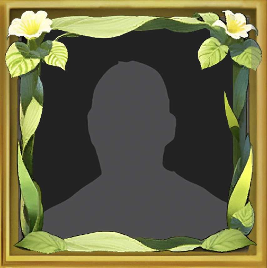 Morning Blossoms Frame Skin | State of Survival Wiki | Fandom