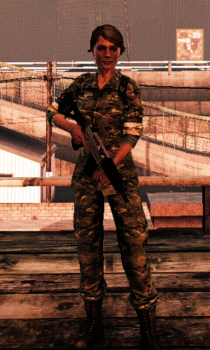 552 Commando | State of Decay Wiki | Fandom