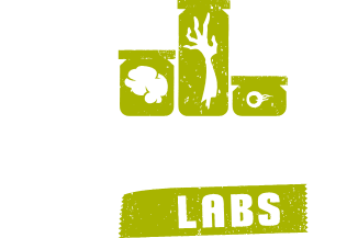 Undead Labs | State of Decay Wiki | Fandom