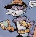 Nack the Weasel | Sonic the Comic Wiki | Fandom