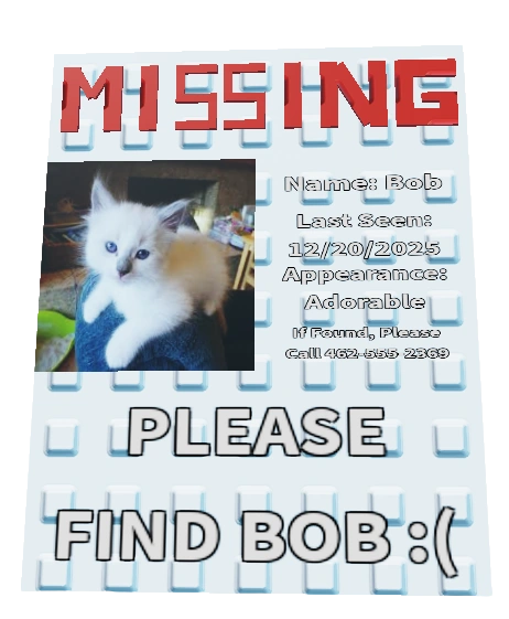 Bob | Gato's World Wiki | Fandom