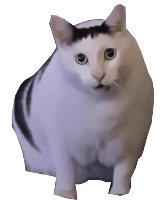Huh Cat | Gato's World Wiki | Fandom