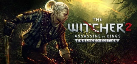 The Witcher 2: Assassins of Kings | Steam Trading Cards Wiki | Fandom