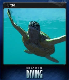 World of Diving - Turtle | Steam Trading Cards Wiki | Fandom