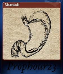 Prophour23 - Stomach | Steam Trading Cards Wiki | Fandom